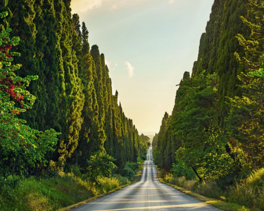 The Ritz-Carlton Yacht Collection